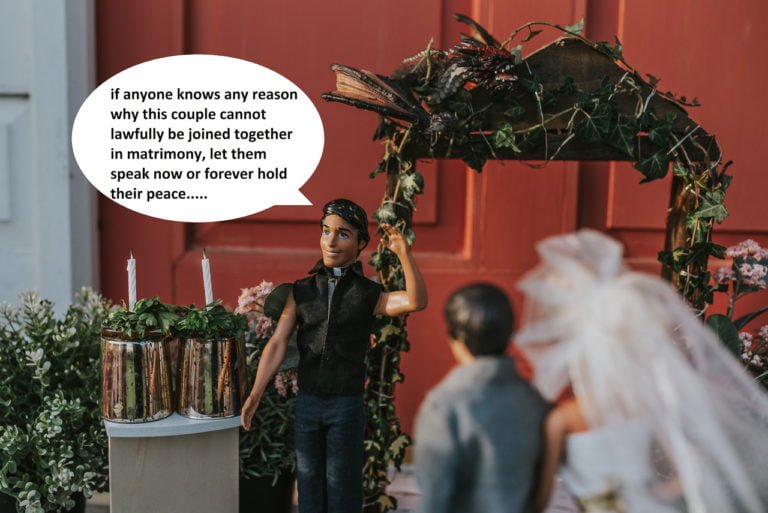 Barbie and Ken Wedding (It's Actually 1Direction's Louis) - Agnieszka Marsh