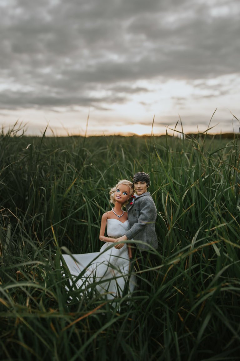 Barbie and Ken Wedding (It's Actually 1Direction's Louis) - Agnieszka Marsh
